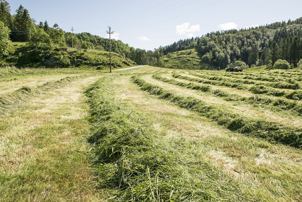 Våtare, varmare vestlandsklima - Bondevennen