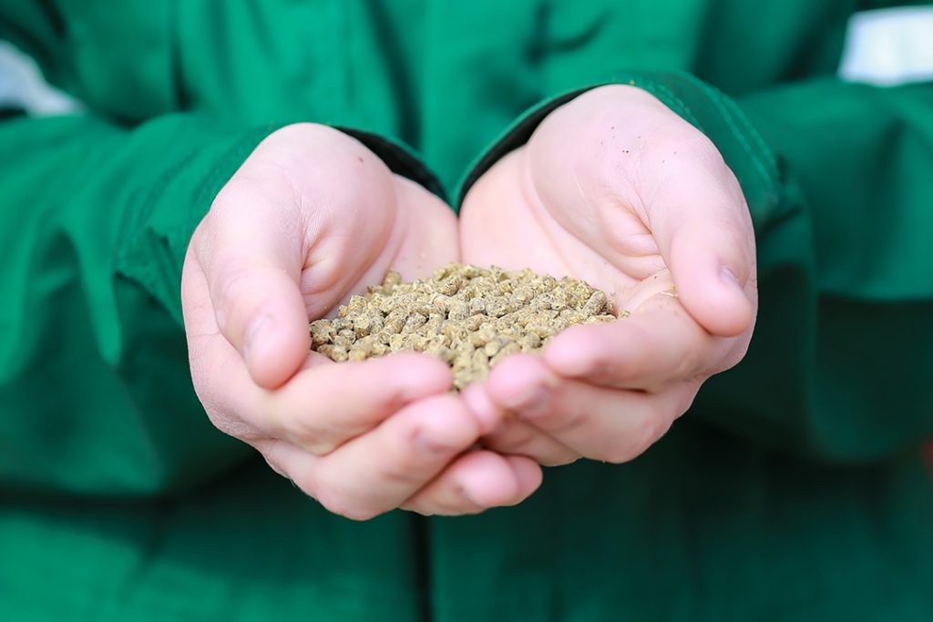 Forbetra kraftfôr til drøvtyggjarar - Bondevennen