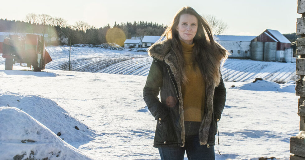 Vil inn på jærske gardar - Bondevennen