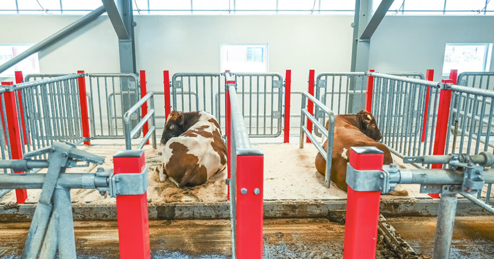 NRF-eliten i nytt fjøs - Bondevennen