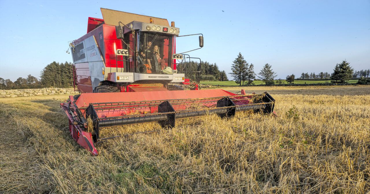 Kronår for korn i Sør-Vest - Bondevennen